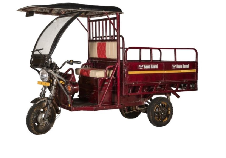 Top Team Machines E Cart Cargo 3 Wheeler pictures, photos | TrucksBuses.com